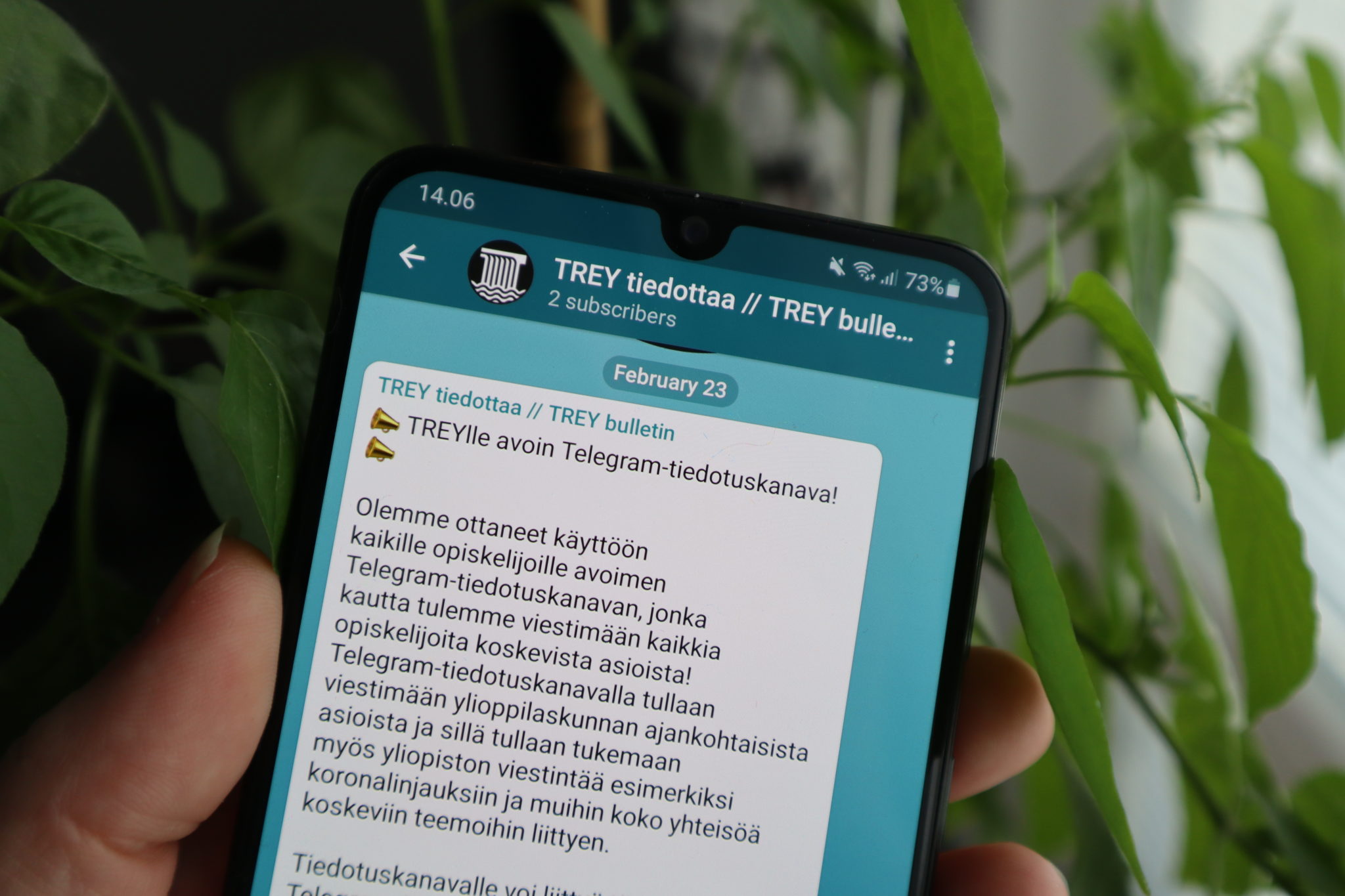 Public information channel in Telegram for TREY! - TREY