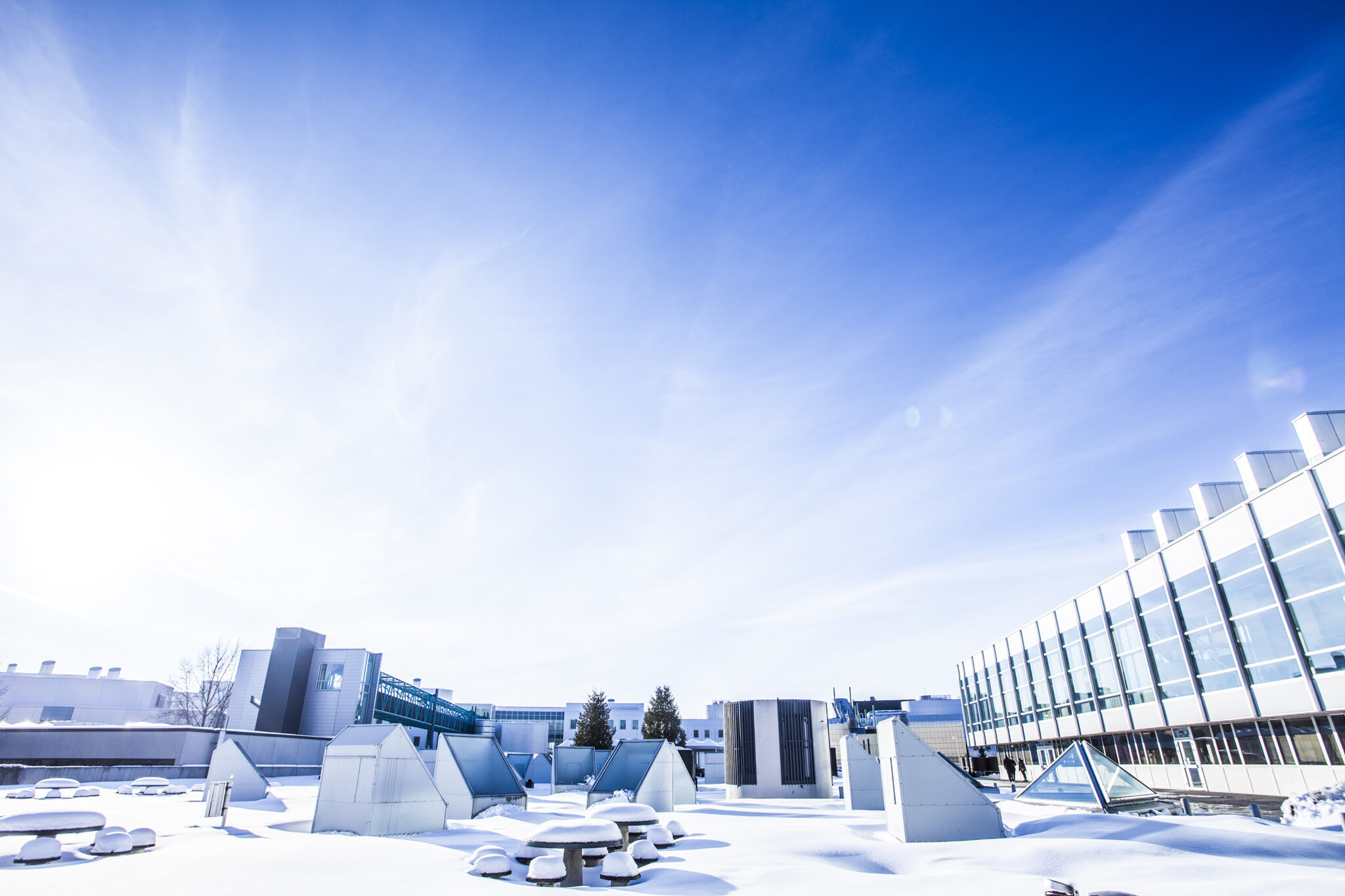 TREY gave a statement about Tampere University’s facilities Action Plan ...